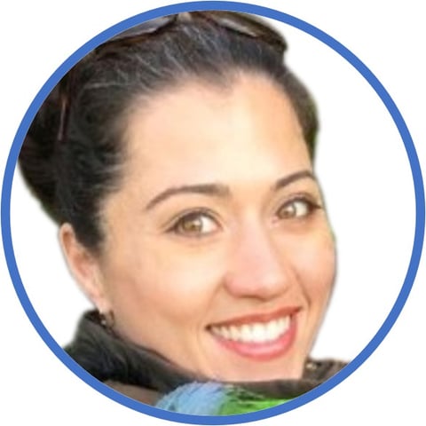 20221130 CapGemini Sustainability Webinar